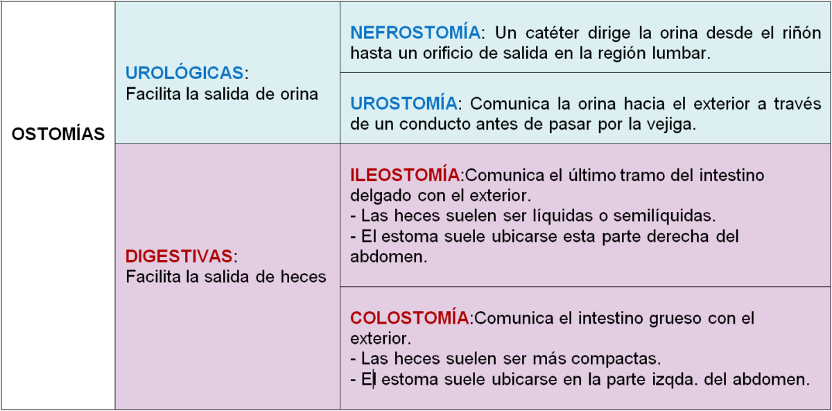 Ostomías: todo lo que necesitas saber - Blog del RICOFSE