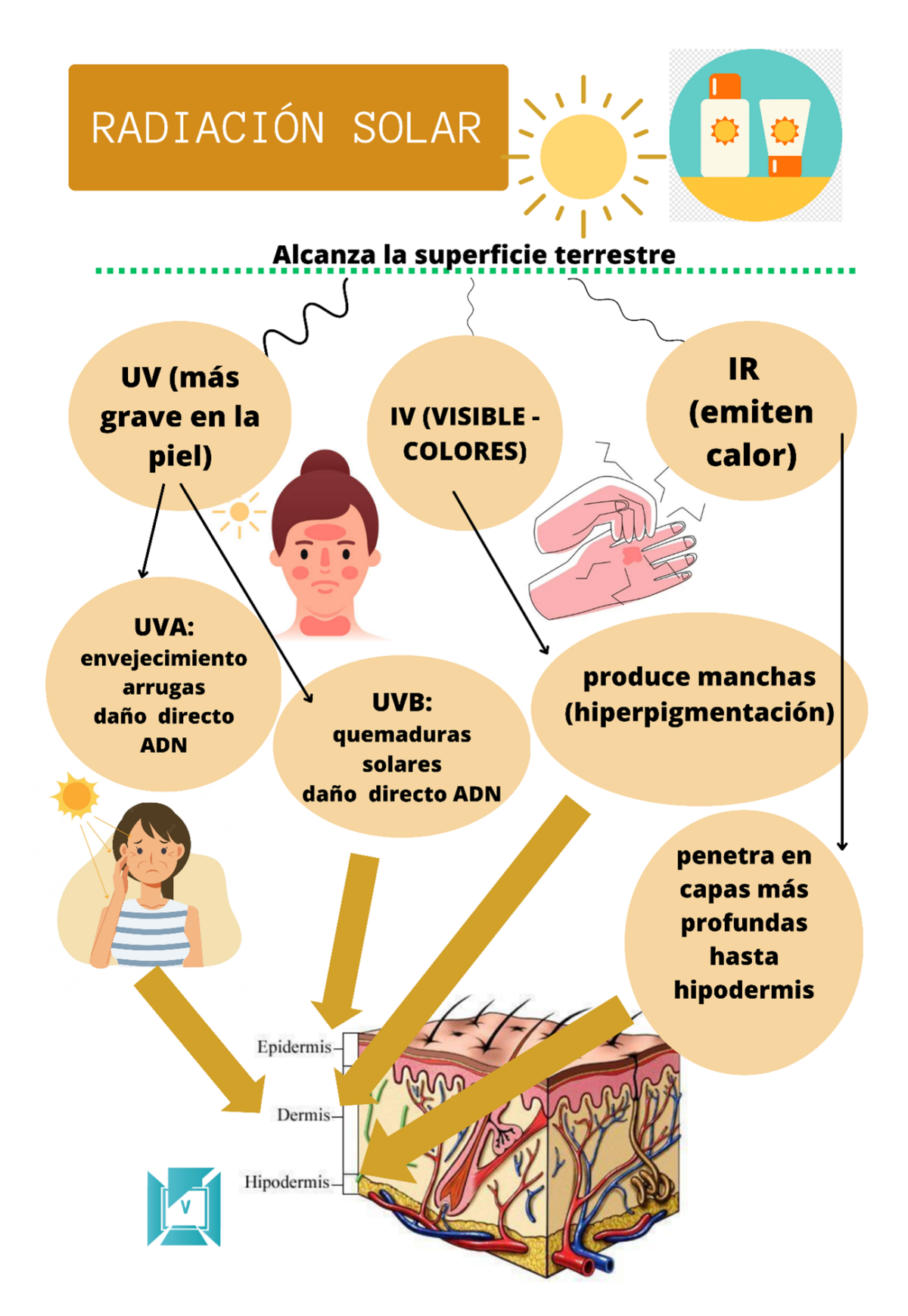 ¿Qué debemos saber para una buena protección solar? - Blog del RICOFSE