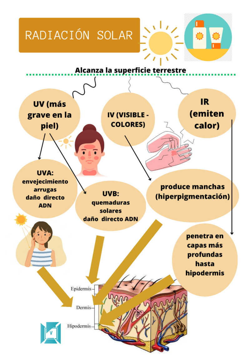 ¿Qué debemos saber para una buena protección solar? - Blog del RICOFSE